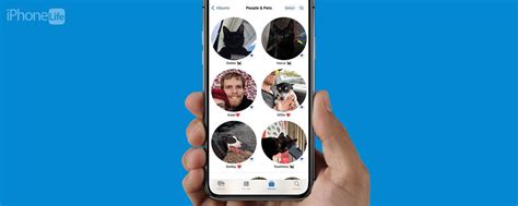 Comment Marquer Les Chats Et Les Chiens Dans Lapplication Iphone