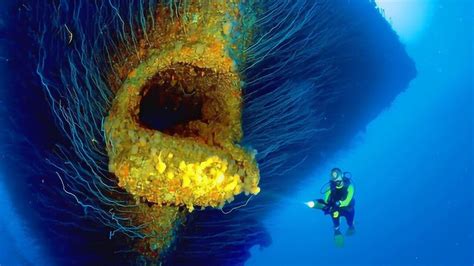 四个隐藏在海洋深处的奥秘腾讯视频