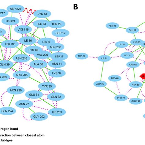 residue interaction networks a rins of the active functional