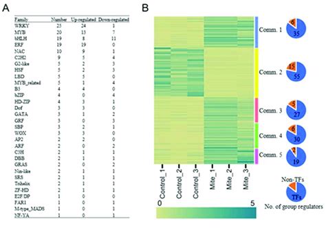 Construction Of Gene Regulation Network Based On The Identified Gene