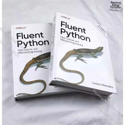 Fluent Python Clear Concise And Effective Programming купить на Ozon