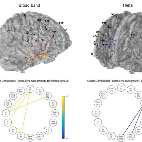 The Profiles Of Functional Coupling Between Different Brain Structures Download Scientific