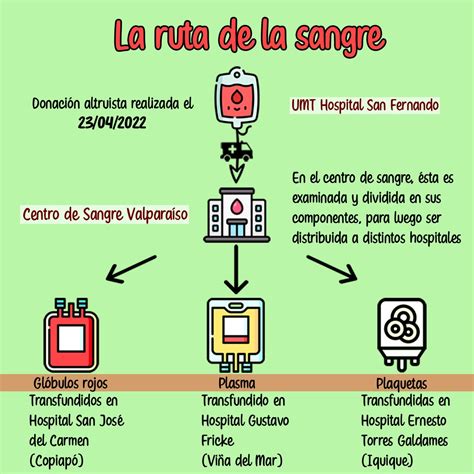 Conoce el funcionamiento de la Unidad de Medicina Transfusional (UMT) del Hospital San Fernando