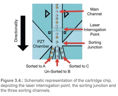 Microfluidics Cell Sorting Technology Nanocellect