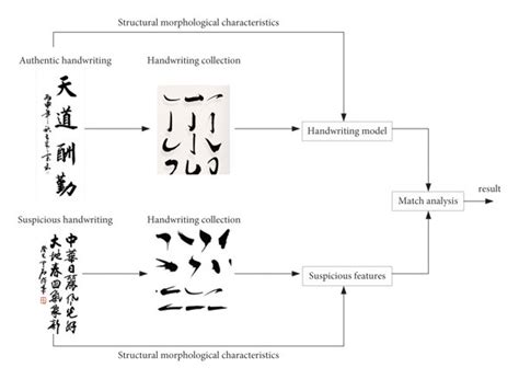 Schematic Diagram Of The Authenticity Identification Process Of
