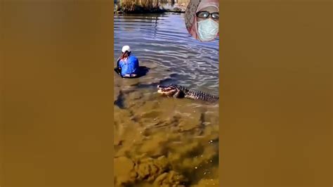 بنت تمسك تمساح 😱😱 Viral Video Shorts Youtube