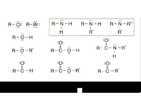 Labeling Functional Groups Quiz