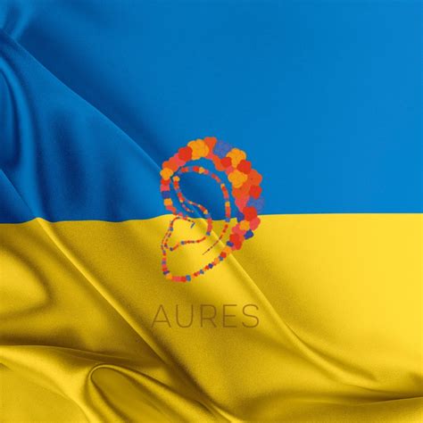 Aures Foundation ფონდი აურეს Tbilisi