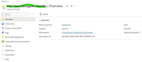 assign user managed identity to function app using powershell
