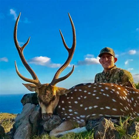 Hawaii Axis Deer Hunts Huntin Fool