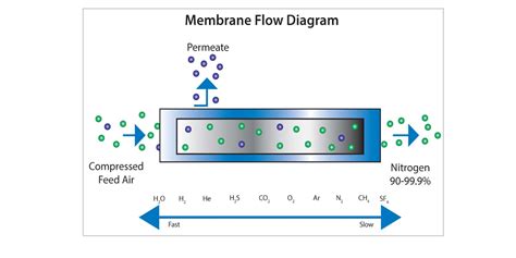 Membrane Nitrogen Generator System Manufacturer Generon
