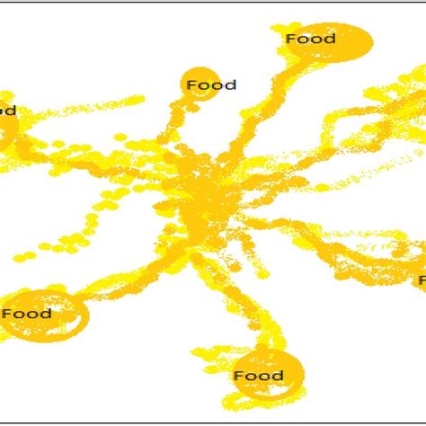Pseudo Code Of Chaotic Slime Mold Algorithm Download Scientific Diagram