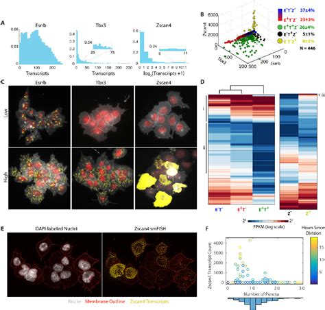 Figure 3 From Inferring Cell State Transition Dynamics From Lineage Trees And Endpoint Single