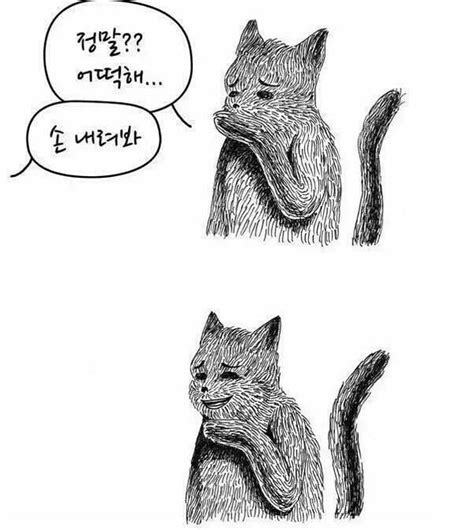 더쿠 너희 입가리고 웃는 짤 어디서 나온건지 알았음