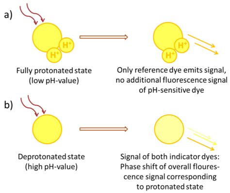 Mode Of Operation Of Optical Sensors For Dissolved Oxygen And Ph Value