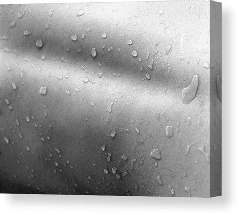 Photography Of A Naked Womans Wet Back 1 Canvas Print Canvas Art By
