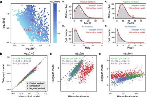 Genome Wide Characteristics Of Transcriptional Burst Kinetics Inferred Download Scientific