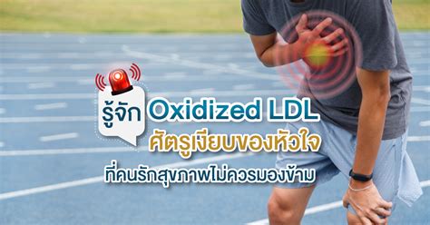 รู้จัก Oxidized Ldl ศัตรูเงียบของหัวใจ ที่คนรักสุขภาพไม่ควรมองข้าม V