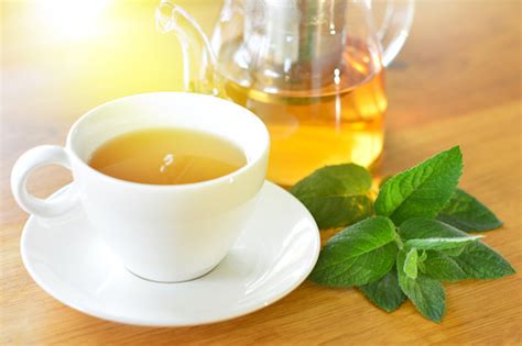 나무 테이블에 신선한 민트 나뭇가지와 허브 차 백색 도자기 컵과 유리 주전자 0명에 대한 스톡 사진 및 기타 이미지 0명 갈색 건강한 생활방식 Istock