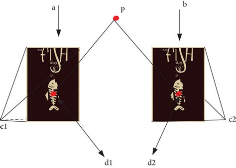 Conversion Between World Coordinate System And Image Coordinate System