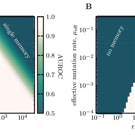 Three Phases Of Memory Discrimination The Phase Diagram Shows The Download Scientific Diagram