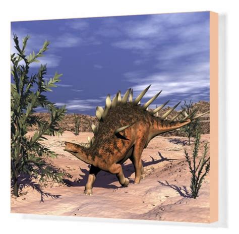 Box Canvas Print Kentrosaurus Dinosaur Grazing On Dicroidium