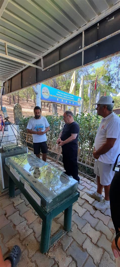 Deniz Kaplumbağaları Araştırma Kurtarma Ve Rehabilitasyon Merkezi Ziyareti
