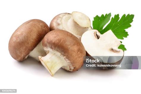 로얄 갈색 샴 피 뇽 절반와 파 슬 리 잎에 고립 된 흰색 배경 0명에 대한 스톡 사진 및 기타 이미지 0명 갈색 건강한 식생활 Istock