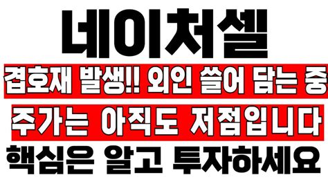 네이처셀 주가분석 겹호재 발생 외인들 쓸어담는중 네이처셀 네이처셀대응 네이처셀주가전망 천프로 Youtube