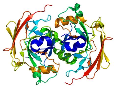 Machine Learning Guided Directed Evolution For Protein Engineering Sciglow All Science News