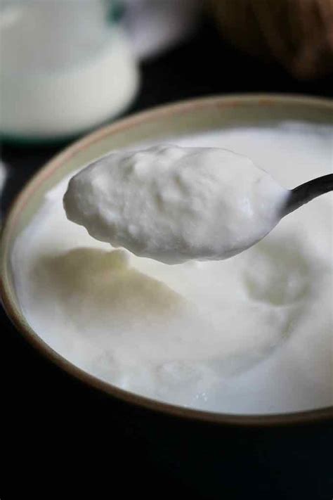 Dahi Traditional And Authentic Indian Recipe 196flavors