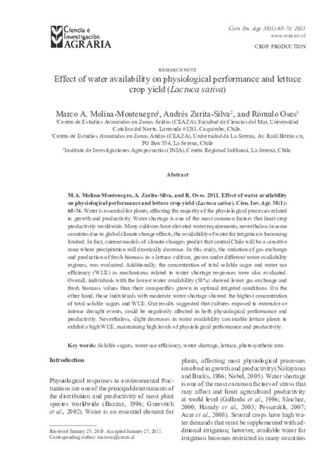 Pdf Effect Of Water Availability On Physiological Performance And Lettuce Crop Yield Lactuca