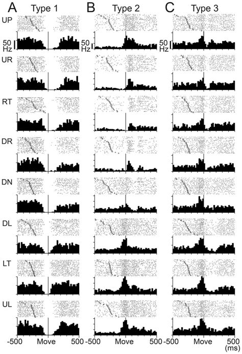 Raster Plots And Histograms Of Typical Examples Of Three Types Of Download Scientific Diagram