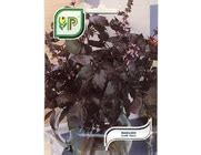 Рицин | МАГАЗИНИ.net