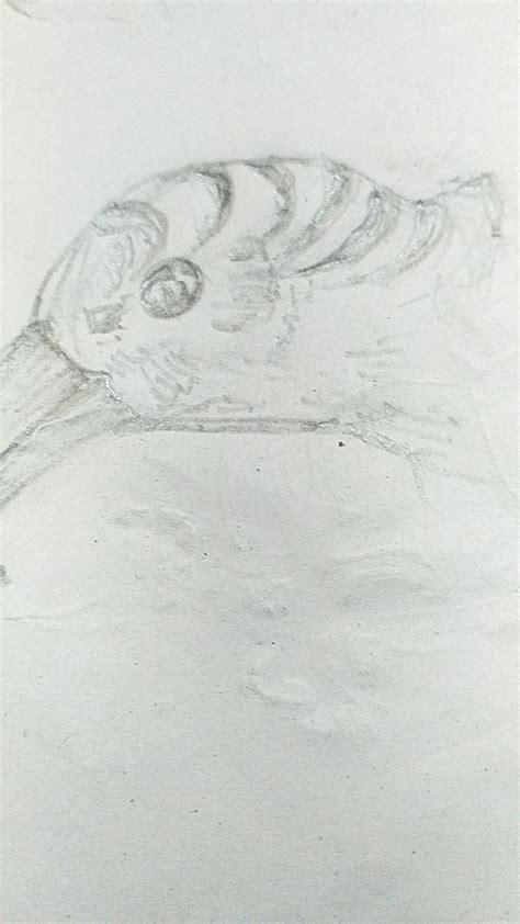 Pin On Drawings Drawings Birds