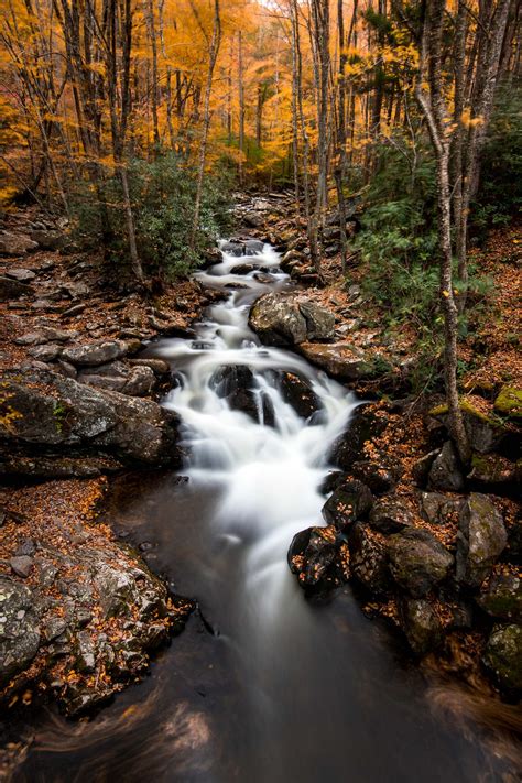 Parallel Streams Ars Poetica By Bradley J Nordell Scribe Medium