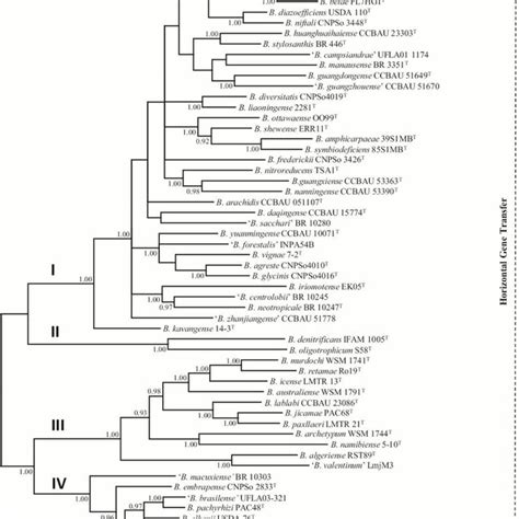 bayesian phylogenetic tree gtr g i substitution model of