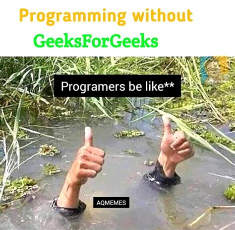 Lakshmi Kakamani On Linkedin Programmers Life Without Geeksforgeeks 😃