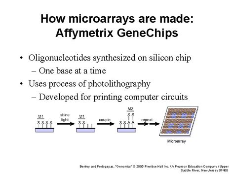 Unit 2 3 Introduction To Dna Microarrays Objectives