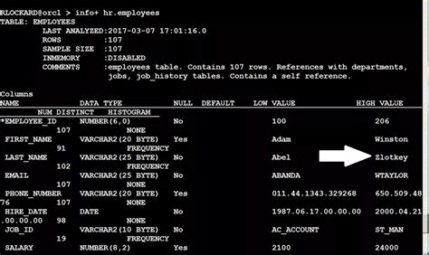 Oraclewizard Com Database Security The Database Holds The Crown Jewels Of Your Organization