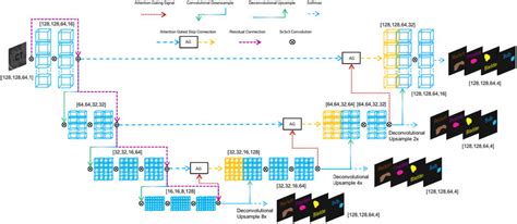 The Base Network Architecture Is Shown For Dab Cnn The Ags Selectively