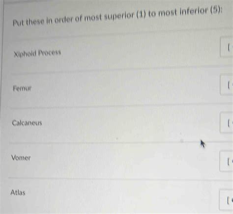 Solved Put These In Order Of Most Superior 1 To Most Inferior 5 Xiphoid Process Femur