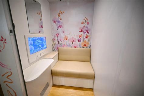 60 Lactation Pods To Be Set Up In Public Spaces By Q1 2026 For