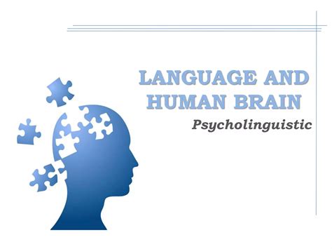 Language And Human S Brain Pptx