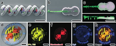 Results For Various Multi Material Microstructures Fabricated Via Download Scientific Diagram