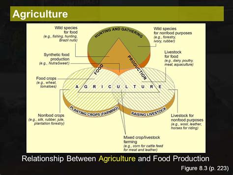 Impact Of Globalization On Agriculture