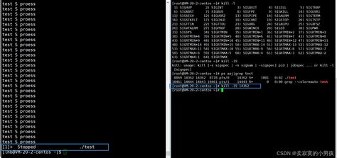 Linux进程管理 进程的状态 R S D T t X Z 卖寂寞的小男孩 博客园