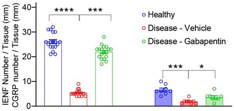Biomedicines Free Full Text Gabapentin Increases Intra Epidermal And Peptidergic Nerve