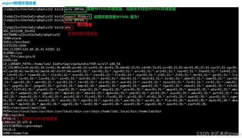 深入了解linux系统—— 环境变量 csdn博客