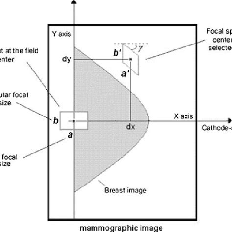 The effective focal spot sizes a b and the skew angle γ at the Download Scientific Diagram
